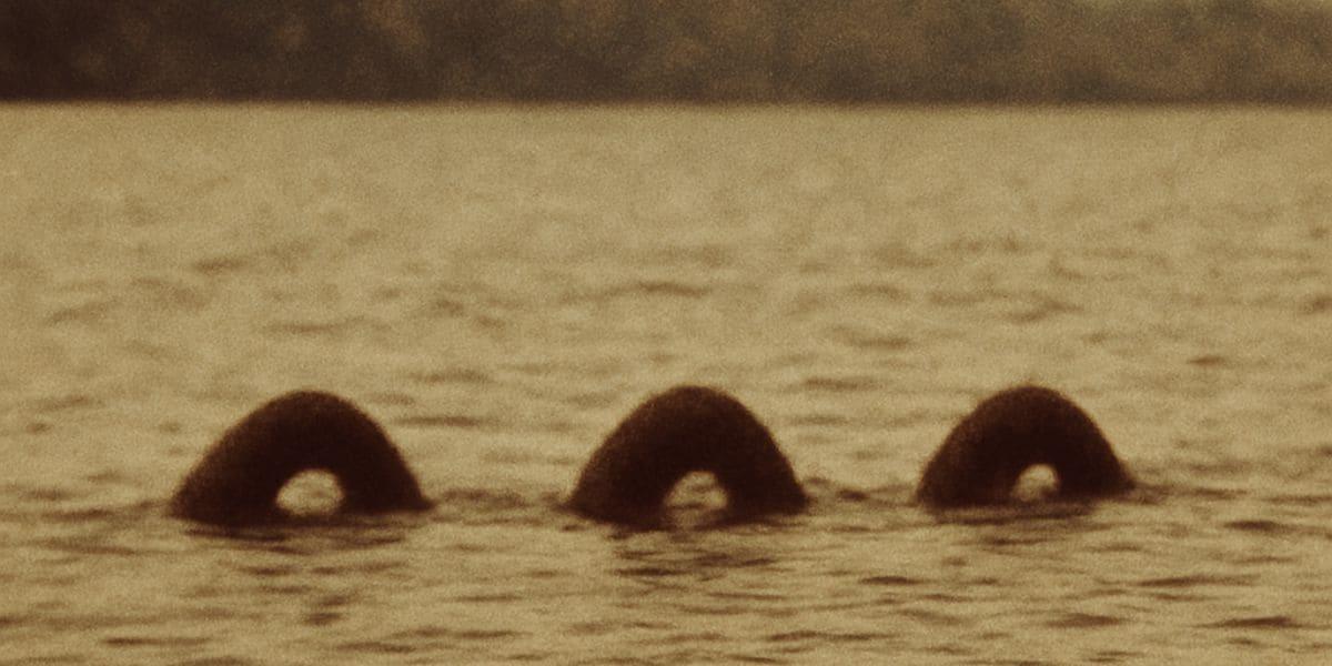 The Lake Champlain Monster: Champ's Legend, Sightings & Evidence ...